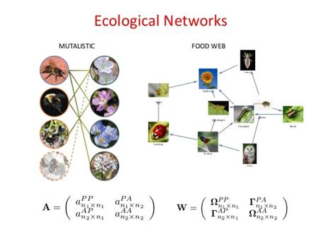 emergence of nested architecture in mutualistic ecological communities
