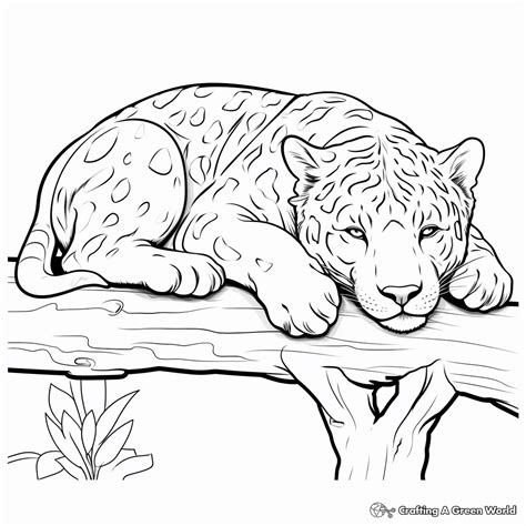 Coloring Pages Of Jaguars Printable 2025