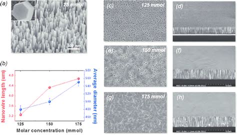 Structural And Morphological Characteristics Of Undoped And Li Doped Download Scientific