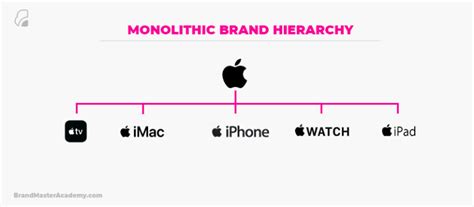 What Is Brand Hierarchy 5 Best Types Structures And Examples