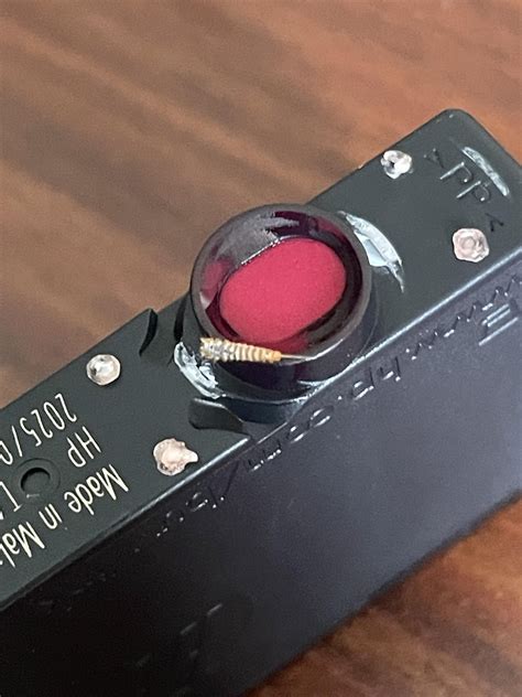 What Bug Owned This Exoskeleton R Whatsthisbug