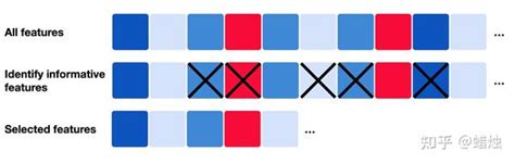 单细胞测序最好的教程（三）：特征基因选择 知乎