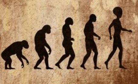 “人类的几种英文说法 百度经验