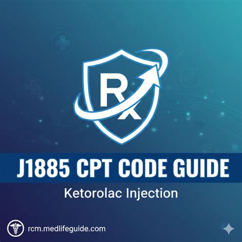 Echocardiogram Cpt Code Guide For Medical Billing