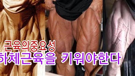 근육을키워야한다근육의중요성하체근육키우는운동법 Youtube