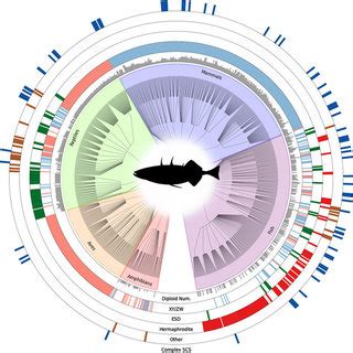 PDF Tree Of Sex A Database Of Sexual Systems