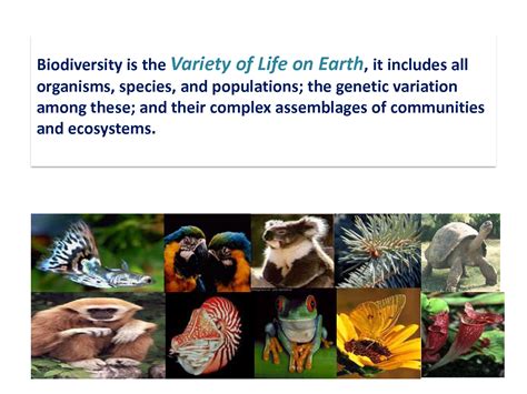 Biotic Resources Images