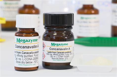 Concanavalin A Con A Lectins Megazyme