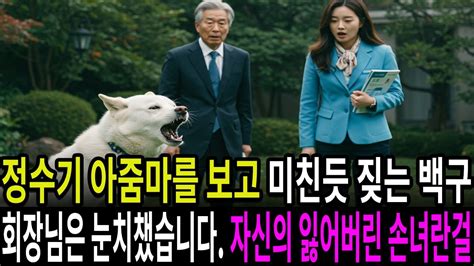 정수기 아줌마를 보고 미친 듯 짖는 백구를 본 회장님은 자신의 잃어버린 손녀란 걸 눈치챘다 Youtube