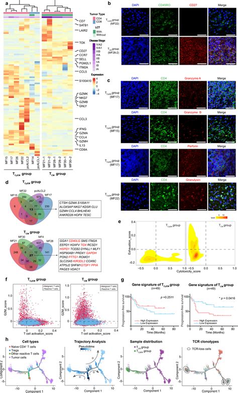 A Molecular Subtyping Scheme For Ctcl Based On The Transcriptomes Of
