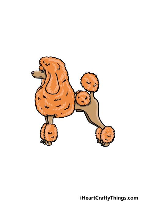 Poodle Drawing How To Draw A Poodle Step By Step