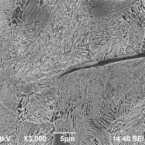 Example Of The Image Of A Steel Microstructure From The Database