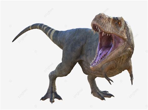 Tyrannosaurus Dinosaur Roaring Rex Mesozoic Species Extinction Png