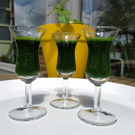 Wheatgrass Shots The Green Elixir Of Vitality And Wellness Eat Your