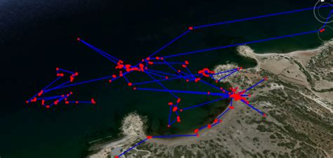 Sea Turtle Tracking And Telemetry Icoteq Electronics And Software