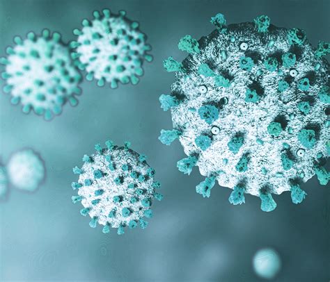 Complejas Respuestas Celulares Frente A Pdcov En Cerdos