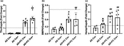 Genes Controlling Iron Utilization A Liver Tfrc Mrna Expression Was