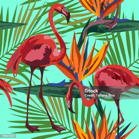 벡터 플라밍고 패턴입니다 민족 완벽 한 패턴 장식입니다 벡터 패턴입니다 0명에 대한 스톡 벡터 아트 및 기타 이미지 0명 꽃 식물 꽃무늬 Istock