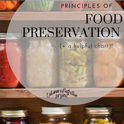 Principles Of Food Preservation With A Helpful Chart Seeking Thyme