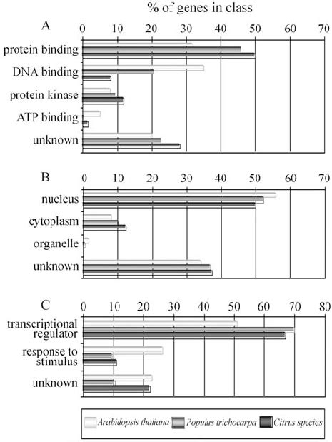 Functional Classification Of Citrus Transcripts Associated To The Download Scientific Diagram