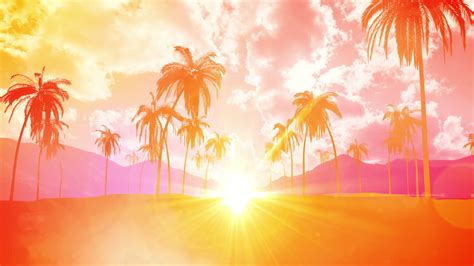 Premium Stock Video Summer Palm Beach Background