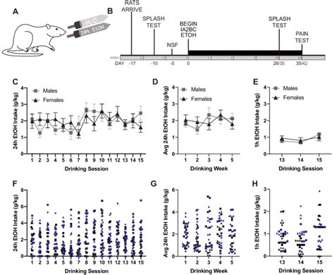 Voluntary Etoh Drinking Under An Intermittent Access Paradigm A