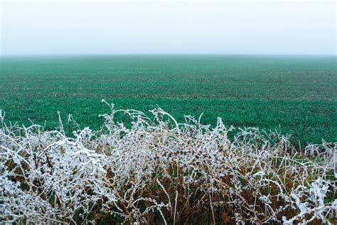 How To Farm Successfully In The Highveld Frost Belt Farmers Magazine