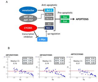 Fadraciclib Cyc065 A Novel Cdk Inhibitor Targets Key Pro Survival