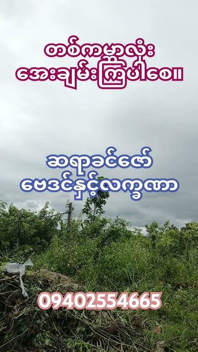 ကုသိနာရုံကျမ်းပြုဆရာကြီးဦးတင်၏မြေးကုသိနာရုံဆရာကြီးဦးအောင်ခင်၏သား