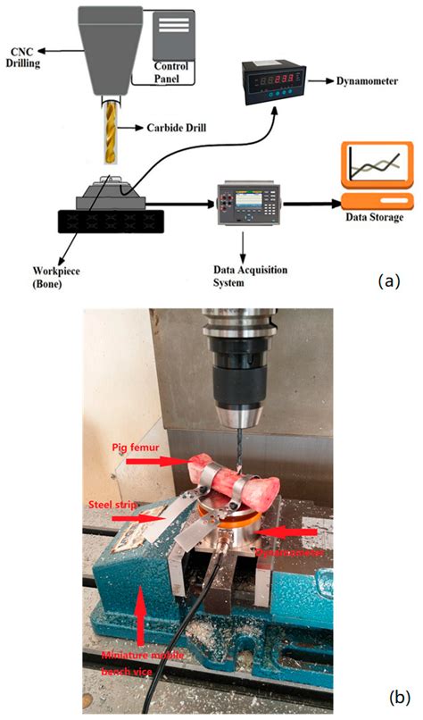 Applied Sciences Free Full Text The Influence Of Bit Edge Shape Parameters On Bone Drilling
