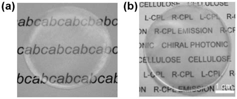 A Circularly Polarized Luminescent Material Based On Crystalline Nanocellulose Its Preparation
