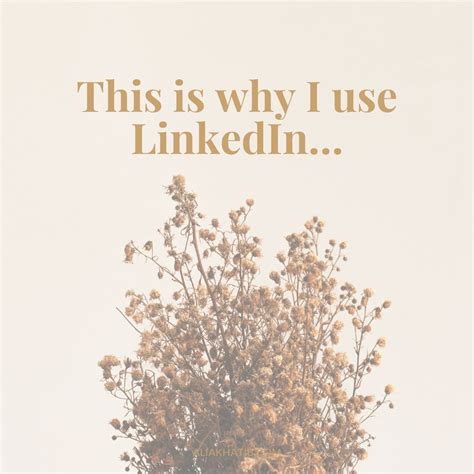 Alia El Khatib On Linkedin Linkedin Linkedinbusiness