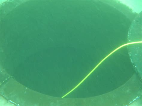 Tunnel Inspections Mariscope