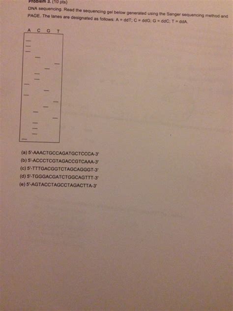 Solved DNA Sequencing Read The Sequencing Gel Below Chegg Com