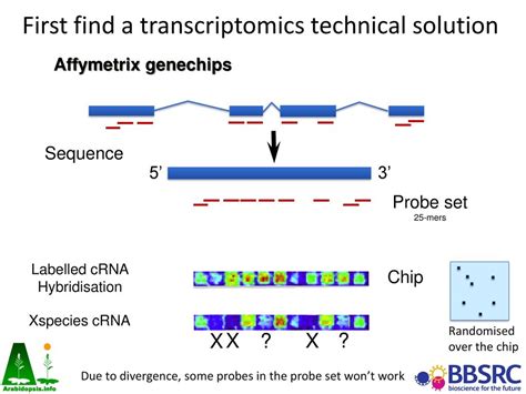 Transcriptomics Research Application Ppt Download