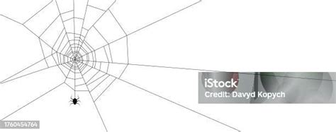 거미줄과 거미가 있는 흰색 할로윈 배너입니다 벡터 일러스트 레이 션입니다 거미에 대한 스톡 벡터 아트 및 기타 이미지 거미