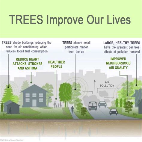 TREES IMPROVE OUR LIVES Consumers Association Penang