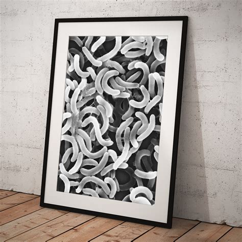 Vibrio Cholerae Bacteria 2 Poster By Science Photo Library Pixels