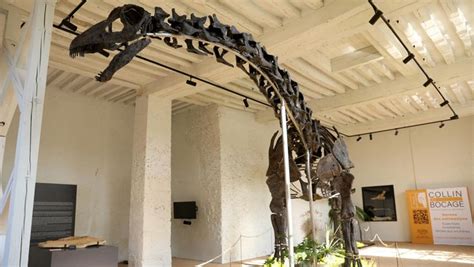 Fosil Dinosaurus Raksasa Berusia 145 Juta Tahun Bakal Dilelang Ini
