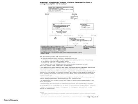 Dengue Profound Shock Pdf