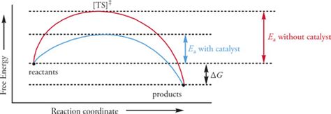 Biochem Chapter 3 Flashcards Quizlet
