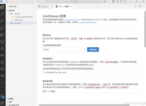 如何配置vscode c c？msvc（vs2022）和mingw全流程！2024 12 7 vscode c 配置 csdn博客