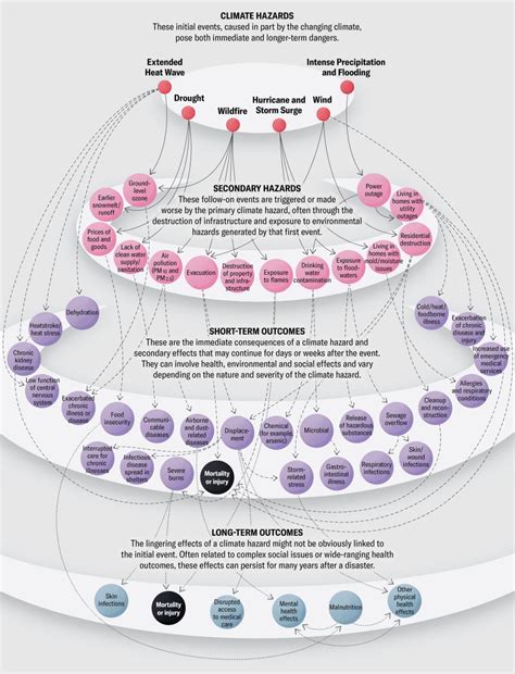 Visualizing Climate Disasters Surprising Cascading Effects