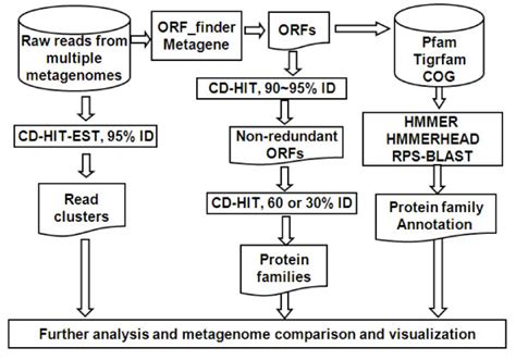 Metagenomic Data Analysis Pipeline Rammcap Download Scientific Diagram