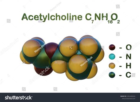 Acetylcholine Chemical Structure