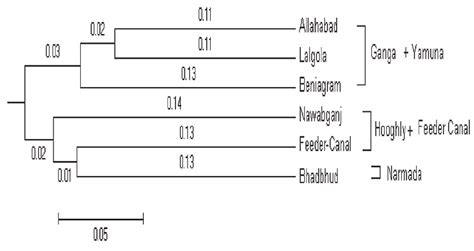 unweighted pair group method of arithmetic mean dendrogram based on