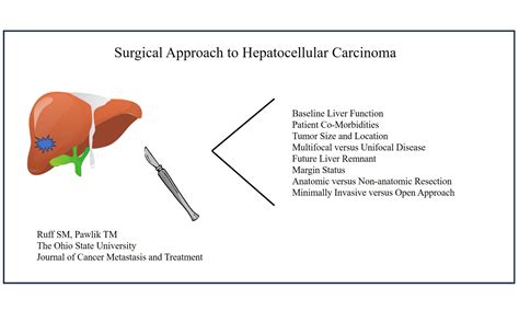 Articles Journal Of Cancer Metastasis And Treatment Oae