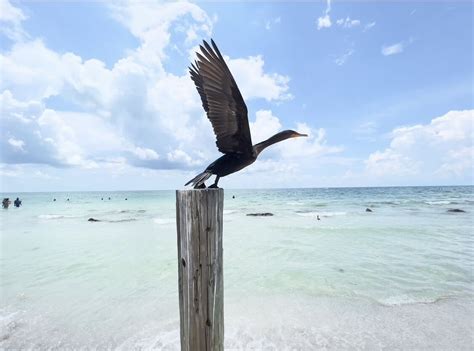 Alina R On Linkedin Softskills Education Newyork Networking