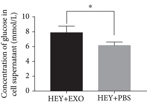 Rescue Assays Of Igf2 In Lv Hey Mir 543 Up Cells A The Transiently Download Scientific