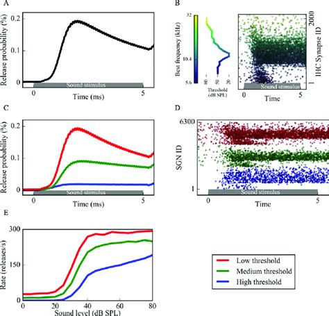 Sound Evoked Activity Of Low Medium And High Threshold Sgn Fibers